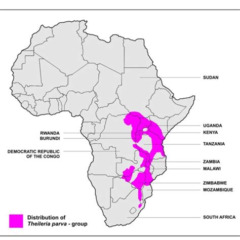 Figure E Stylized Map Of Ecf Distribution Modeling By Others Eg
