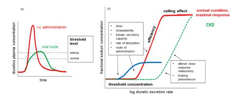 High Ceiling Effect Of Loop Diuretics Shelly Lighting