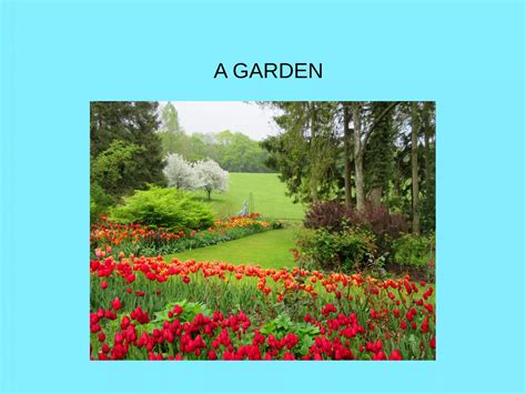 Ecosystems Definitions Pdf