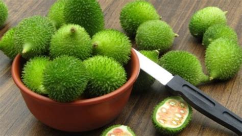 Amazing Health Benefits Of Boda Kakarakaya Spiny Gourd Here Pa Boda Kakarakaya వర్షాకాలంలో