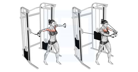Cable Middle Fly Guide Benefits And Form