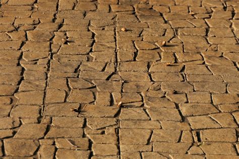 What Makes Irregular Verbs Special In Albanian Language