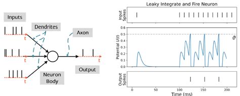 Spiking Neural Networks For Event Based Action Recognition A New Task To Understand Their