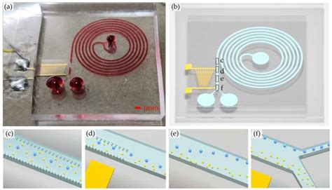 Biosensors Mdpi On Linkedin Article Mdpi Chip Acoustic Waves