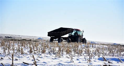 В Чувашии назвали шесть самых плодородных районов