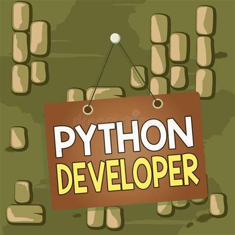 Word Writing Text Python Developer Business Concept For Responsible For Writing Serverside Web