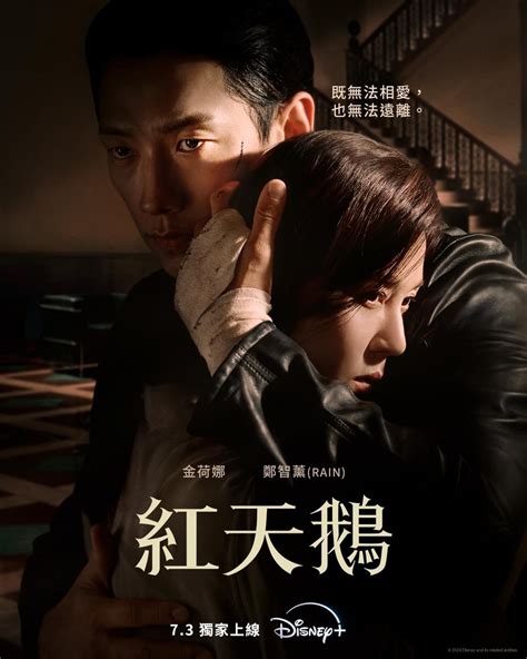 主演的韩剧红天鹅又名 发布海报7月3日开播 红天鹅 韩剧 海报 新浪新闻