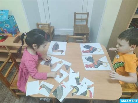 Дидактическая игра «Домашние птицы для детей младшей группы 3 фото Воспитателям детских