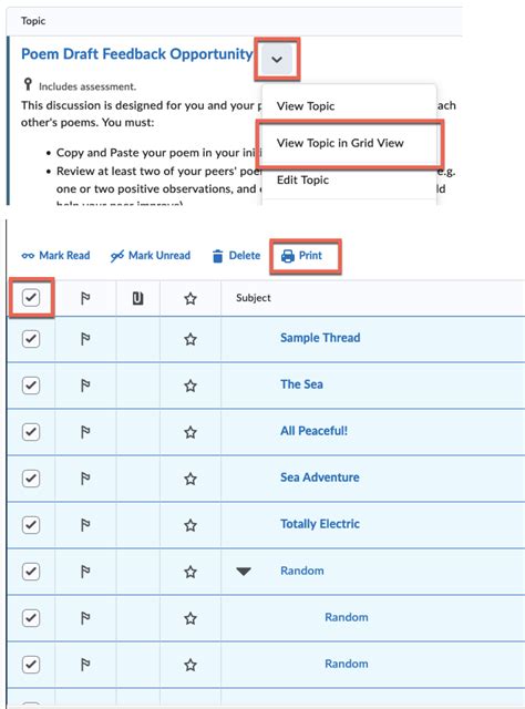 Exporting Discussion Post — Brightspace