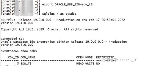 Oracle 19c 使用数据泵如何导入导出 Pdb 用户 墨天轮
