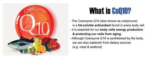 What Is CoQ10