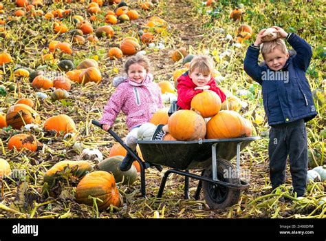 Left To Right Sadie Bissett Four Jude Coats Three And Alfie