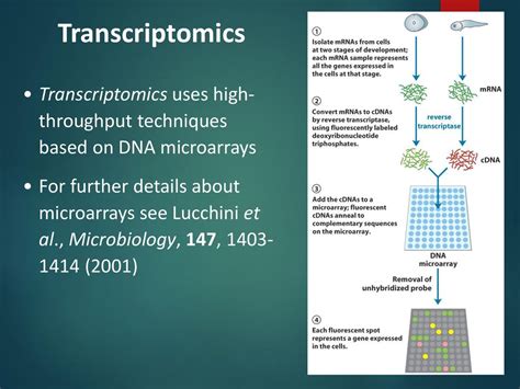 lecture fall 2017 microarray analysis and omics technology ppt
