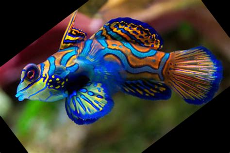 Image Transformation OpenCV Tutorial Documentation