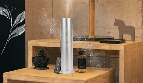 Fav Smell A Guide To A Luxury Scent Experience For Home