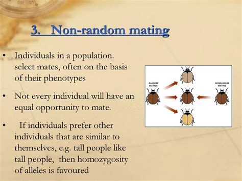 Mechanisms Of Evolution Ppt Download