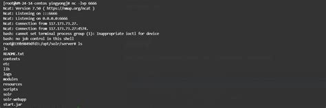 Log4j2 漏洞复现 Gaorenyusis Blog