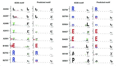 The Comparison Of Actual Motifs And Predicted Motifs On 16 Hla Download Scientific Diagram