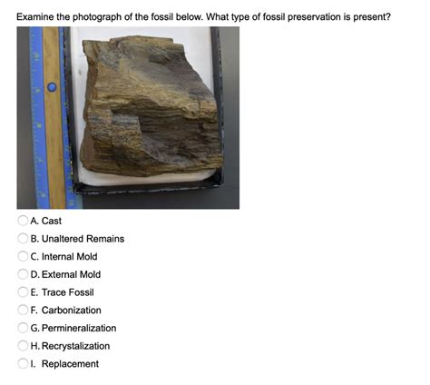 Solved Examine The Photograph Of The Fossil Below What Type