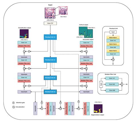 electronics free full text mulvernet nucleus segmentation and