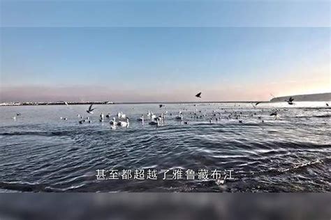 科学家在800多米的深海中，发现令人惊讶的东西，简直不敢相信