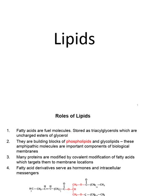 Understanding Lipids Pdf Lipid Fatty Acid