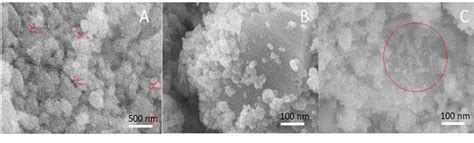 Figure 2 From A Modified Sensitive Palladium Copper Oxide And Multiwalled Carbon Nanotubes