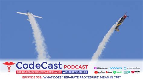 Terry Fletcher Consulting Inc What Does Separate Procedure Mean In Cpt Terry Fletcher