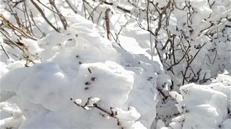 덕유산 국립공원 덕유산향적봉 상고대 덕유산향적봉 하얀눈꽃 ️⛄️ ️☃️ ️⛄️ ️ Youtube