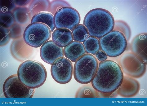 Bacteria Ureaplasma Urealitycum Stock Illustration Illustration Of