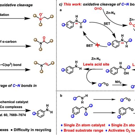 Methods Of The Oxidative Cleavage Of C−n Bonds In N Alkylamines A