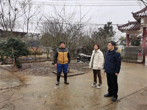 湾沚区残联赴残疾人就业帮扶基地督查低温雨雪冰冻灾害天气防范措施落实情况芜湖市残疾人联合会