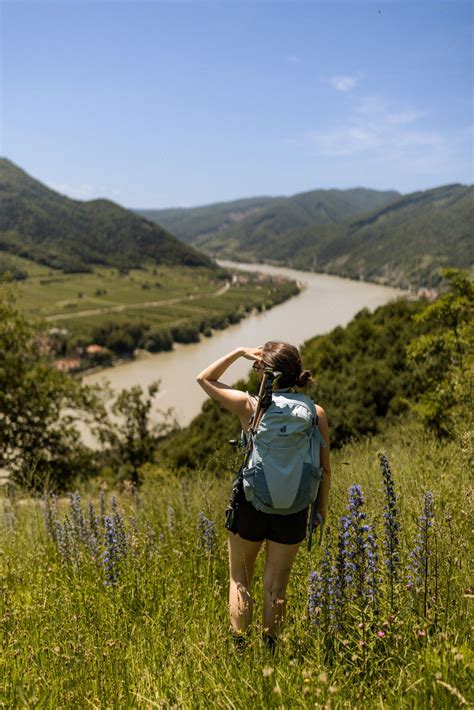 Die Schönsten Wanderungen Rund Um Spitz Komoot