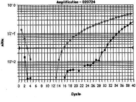 Real Time Reverse Transcription Polymerase Chain Reaction Amplification Download Scientific