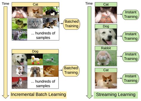 Remind Your Neural Network To Prevent Catastrophic Forgetting Deepai