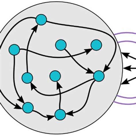 Illustration Of The Reservoir Network And The Sine Wave Generation Task