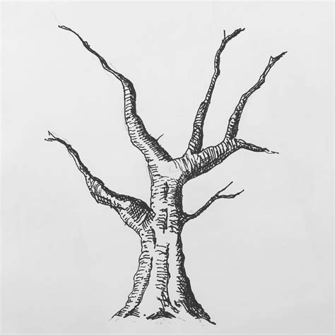Pen And Ink Tree Drawings At PaintingValley Com Explore Collection Of Pen And Ink Tree Drawings