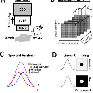 HSI Acquisition And Processing Steps A Schematic Showing The HSI Download Scientific Diagram