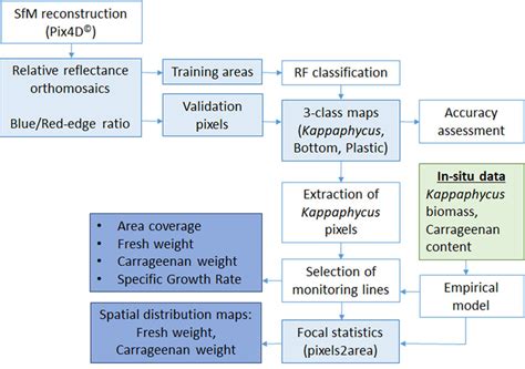 workflow diagram including image processing classification and
