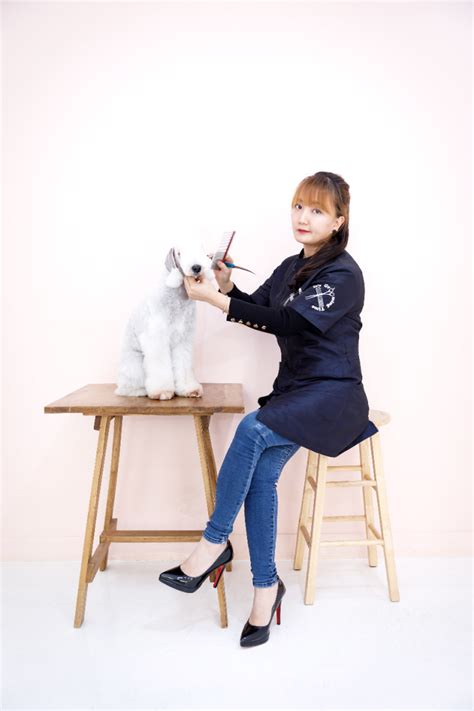 애견미용사 프로필 사진촬영 컨셉 네이버 블로그