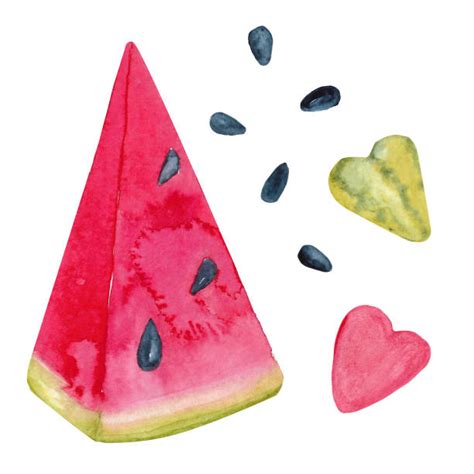 1400개 이상의 수박씨 이미지 스톡 사진 그림 및 Royalty Free 이미지 Istock