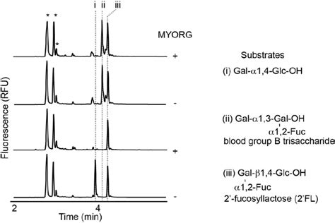 figure s6 representative ce lif electropherograms for candidate myorg