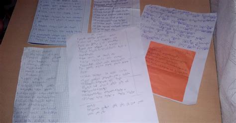 დალი თებიძე მასწავლებლის პორტფოლიო ფოტოები საწრეო მუშაობა