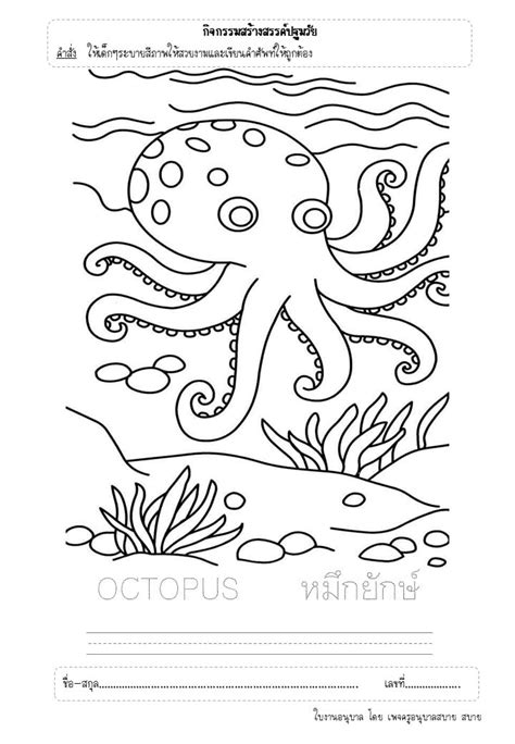 ใบงานระบายสี พร้อมเรียนรู้คำศัพท์ ครูอนุบาลสบายสบาย