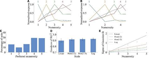Output Response Of Spike Neural Network Model Under Non Symbolic