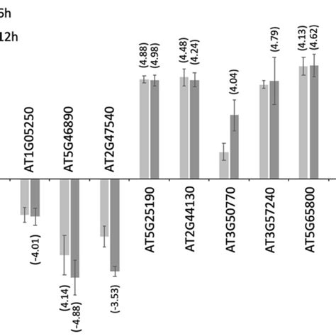 Validation Of Rna Seq Expression Results By Comparison With