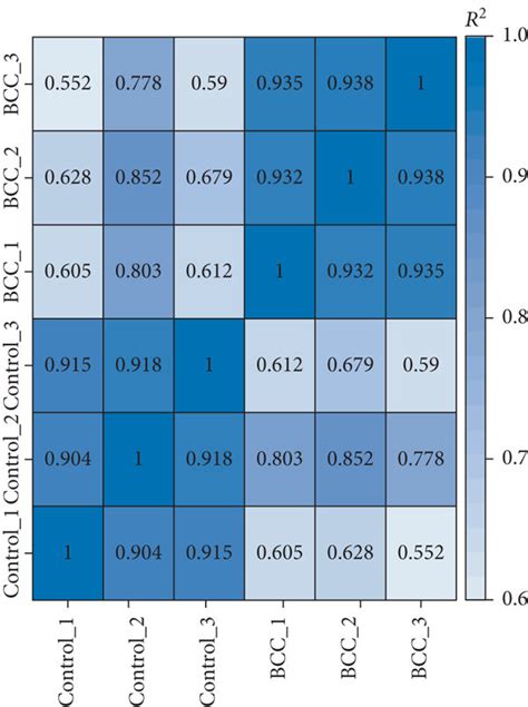 Overview Of SRNA Sequencing Results A Heatmap Of Pearson Correlation Download Scientific