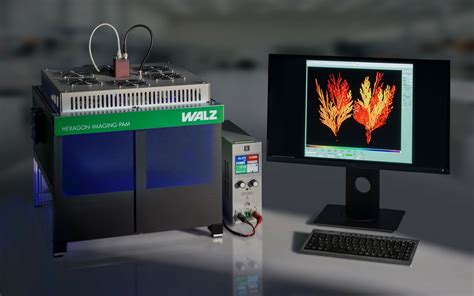 Hexagon Imaging Pam Chlorophyll Fluorescence System Walz