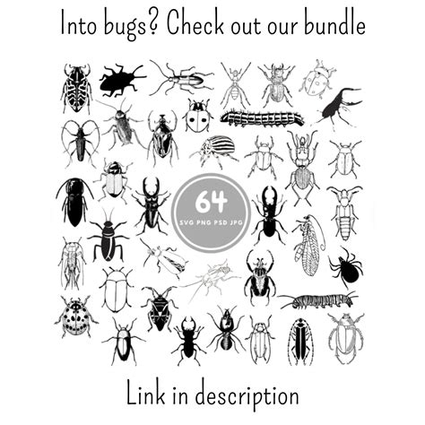 Bug Font Alphabet With Bugs Bug Letters As Png Etsy