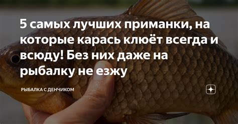 5 самых лучших приманки на которые карась клюёт всегда и всюду Без них даже на рыбалку не езжу